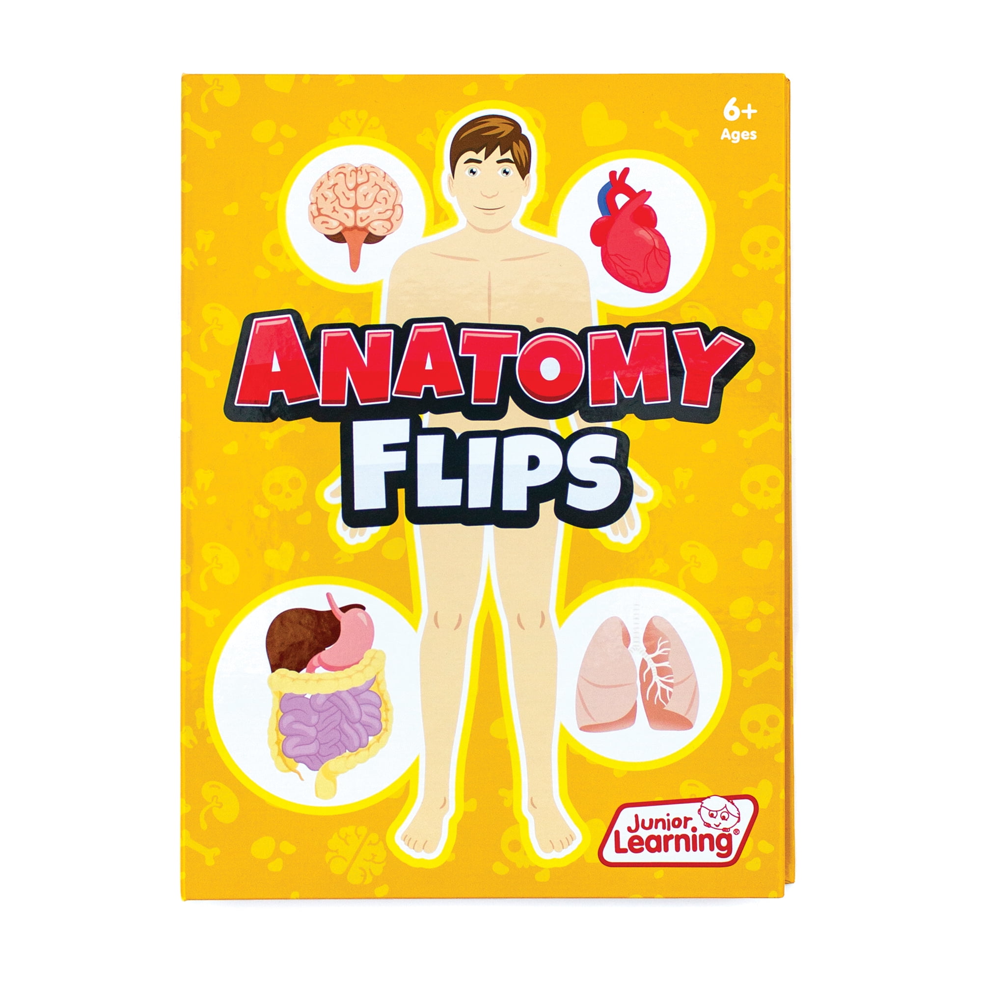Junior Learning Anatomy Flips Educational Learning Set - Educational ...