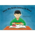 Junior Learning How My Brain Learns to Read Children's Book - Walmart.com