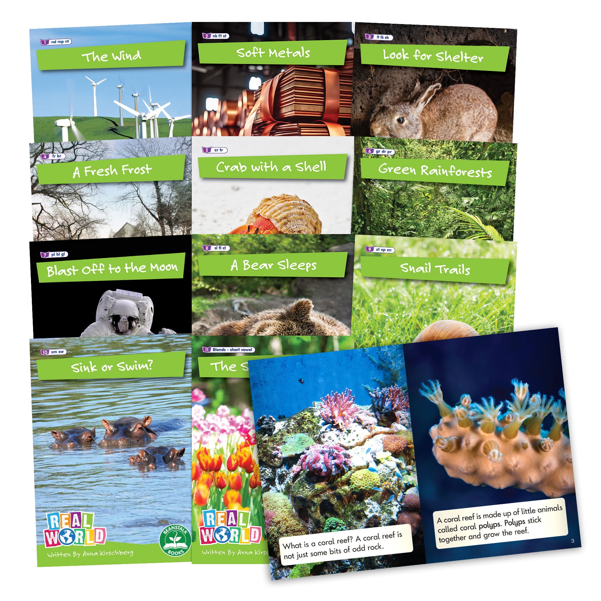 Junior Learning: Real World - Phase 4 - Non-Fiction Hi-Lo Decodables, 6 ...