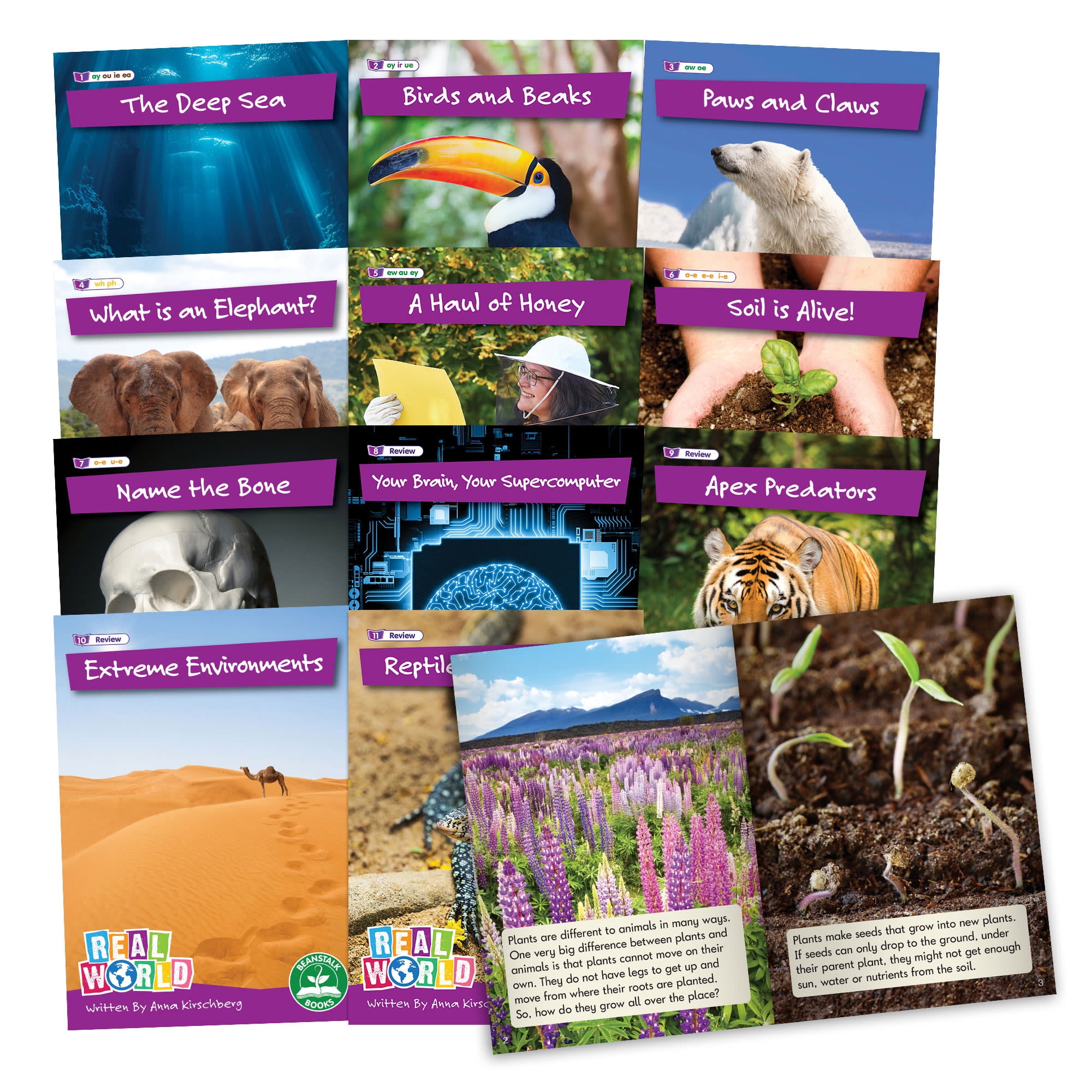 Junior Learning: Real World - Phase 5 - Non-Fiction Hi-Lo Decodables, 6 ...