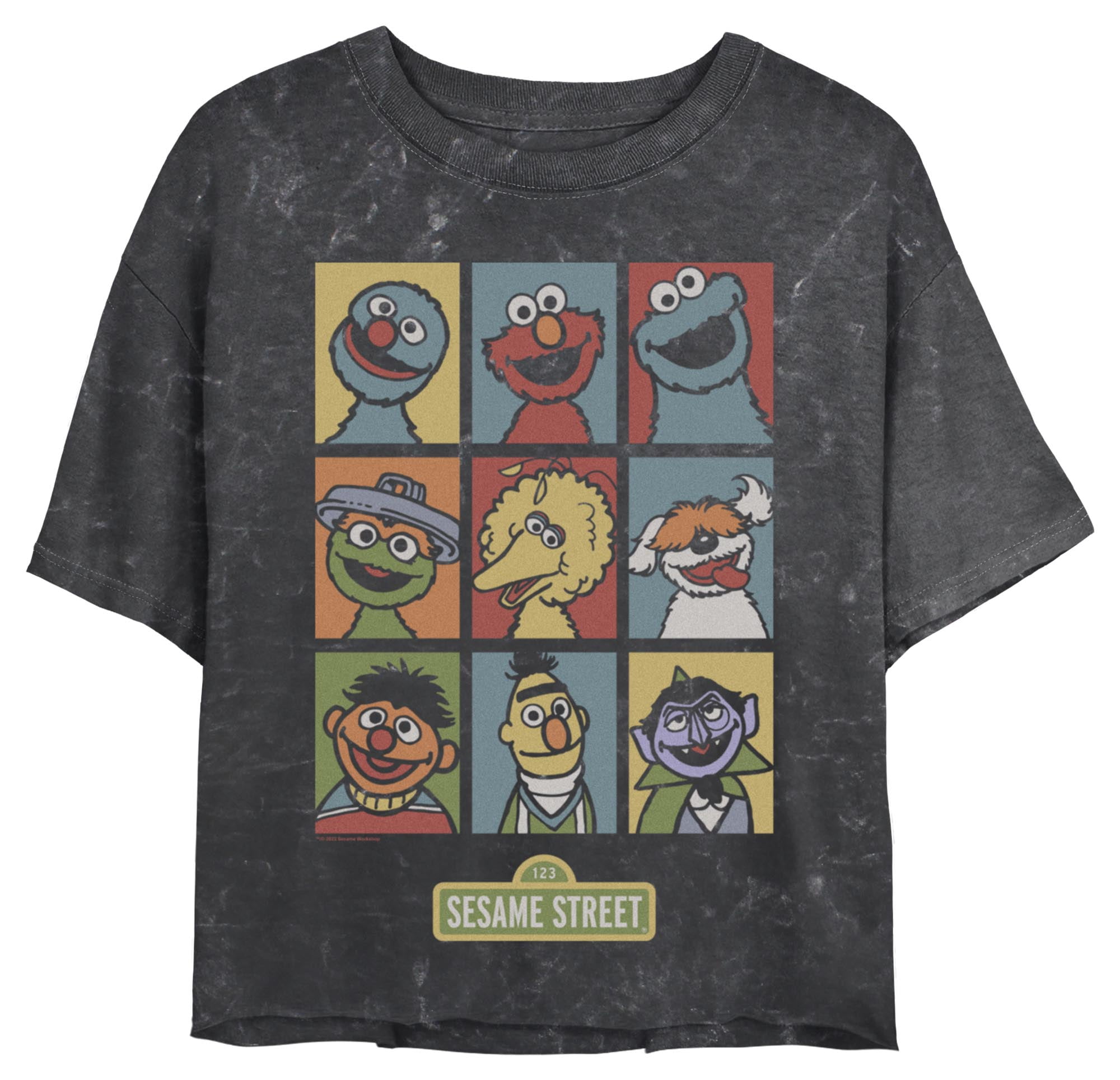 Junior's Sesame Street 9 Panel Puppet Grid Graphic Crop T-Shirt ...
