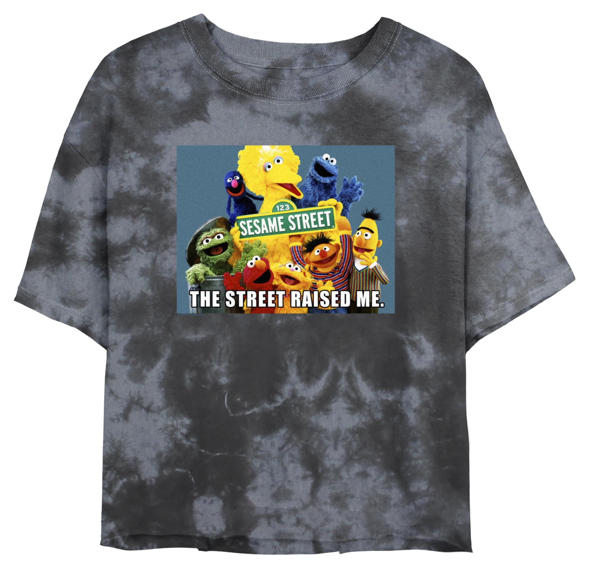 Junior's Sesame Street The Street Raised Me Graphic Crop T-Shirt ...