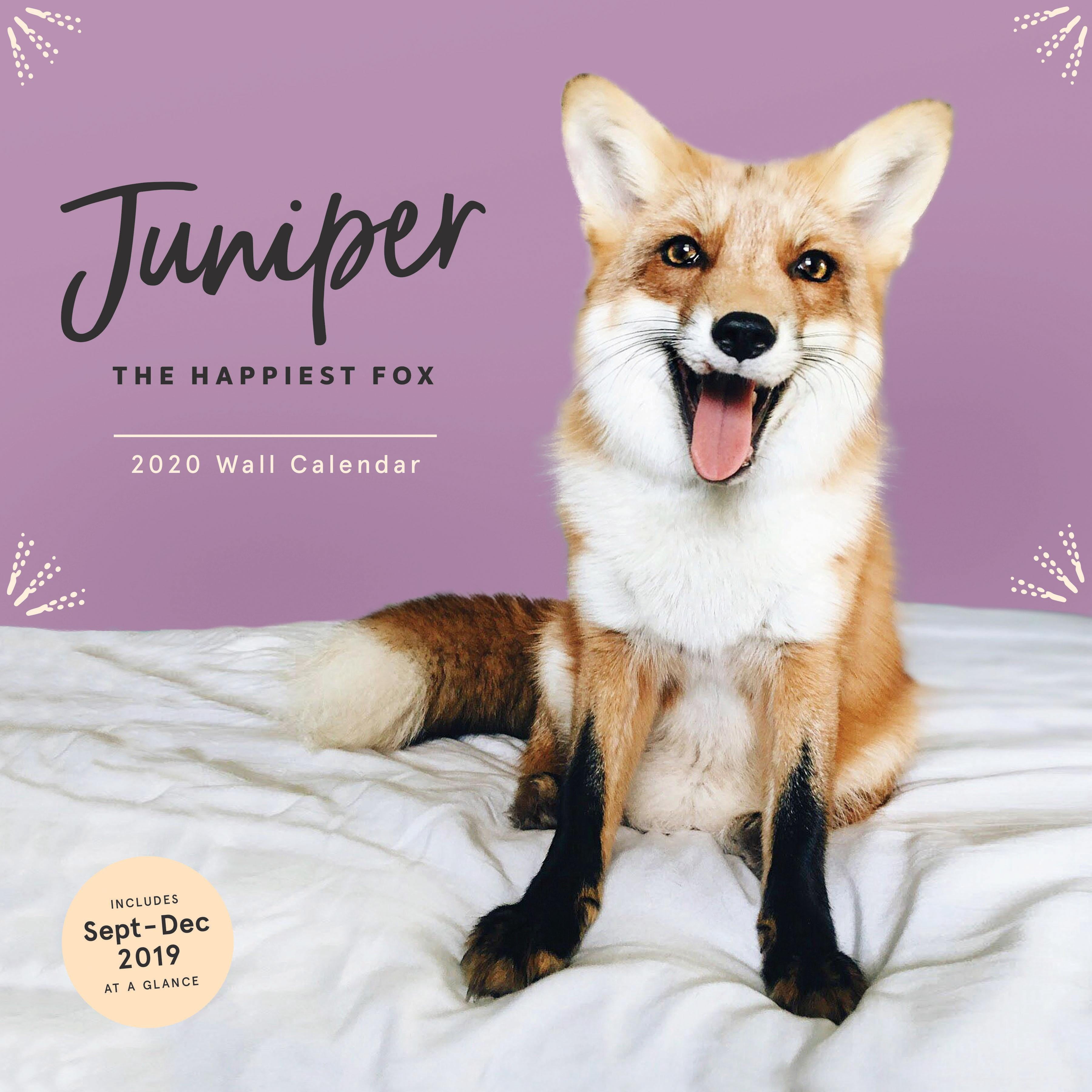 Juniper: The Happiest Fox 2020 Wall Calendar: (animal Calendar 2020 ...