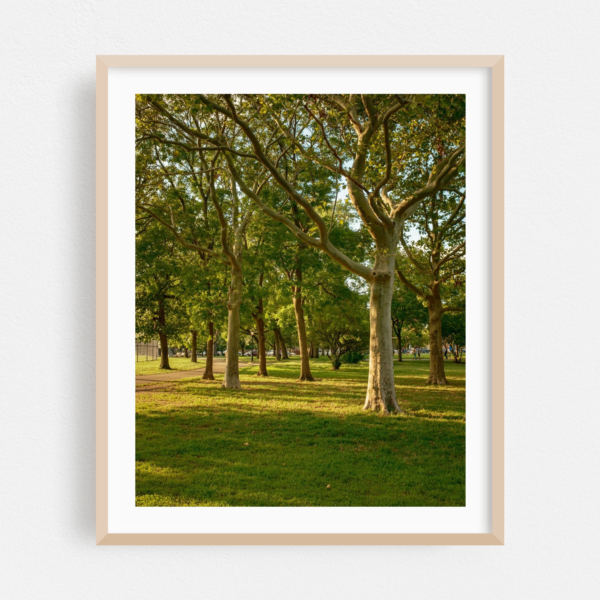 Juniper Valley Park, Queens - Queens New York Photography Nature Forest ...