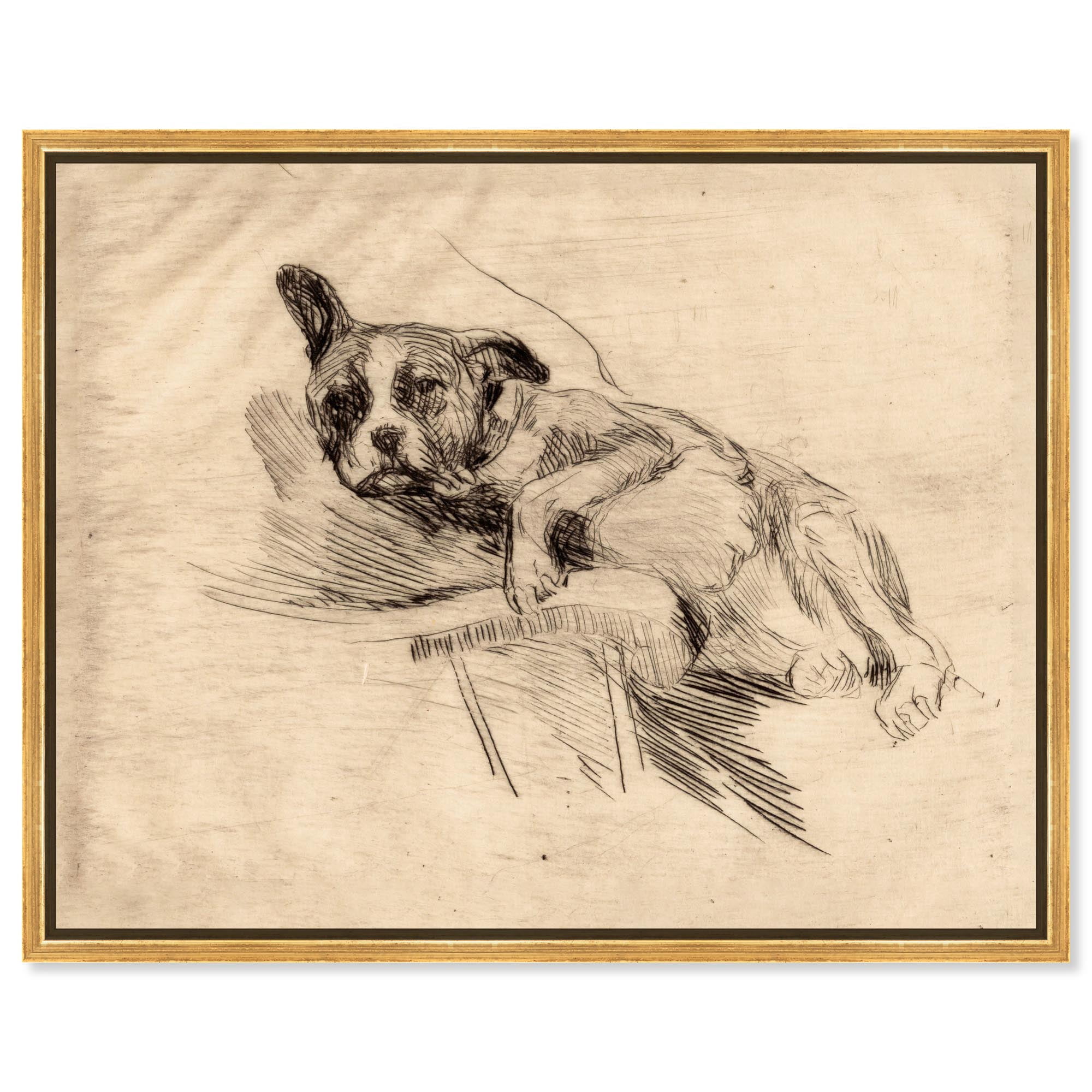 Juniper on Chair Canvas Vintage Dog Art by Art Remedy, Gold Frame, 30 ...