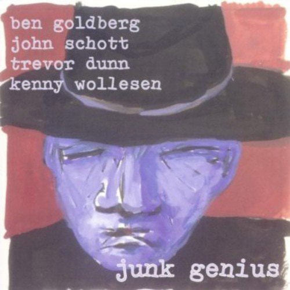 Pre-Owned Junk Genius - Walmart.com