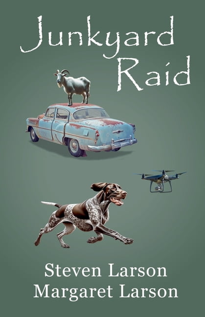 Junkyard Raid, (Paperback) - Walmart.com