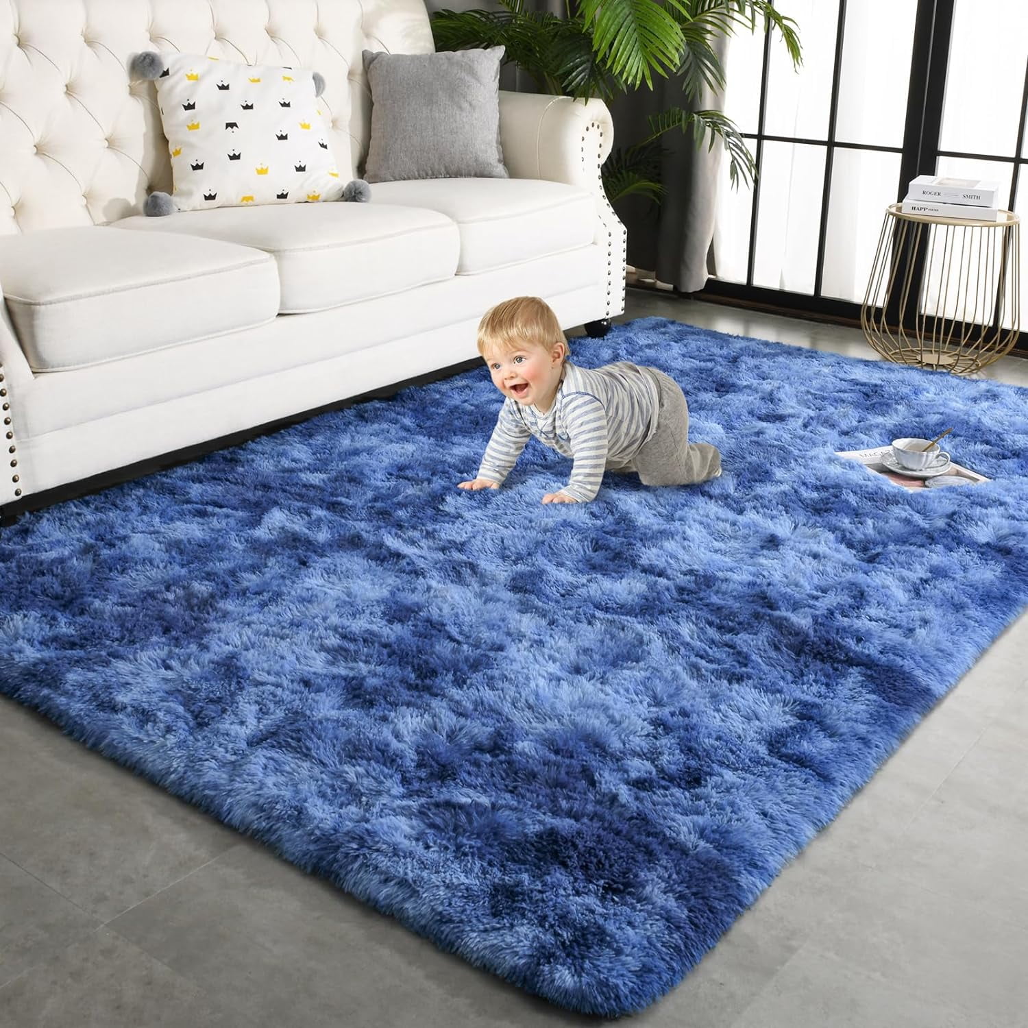 Junovo Luxury Velvet Shag Area Rug Modern Indoor Fluffy Rugs, Extra ...