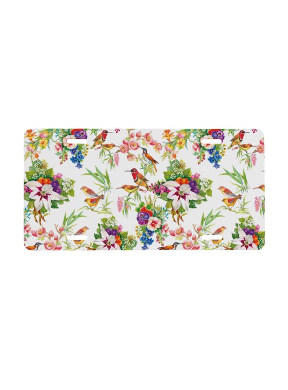 Motorcycle License Plate Covers in Motorcycle License Plates and ...