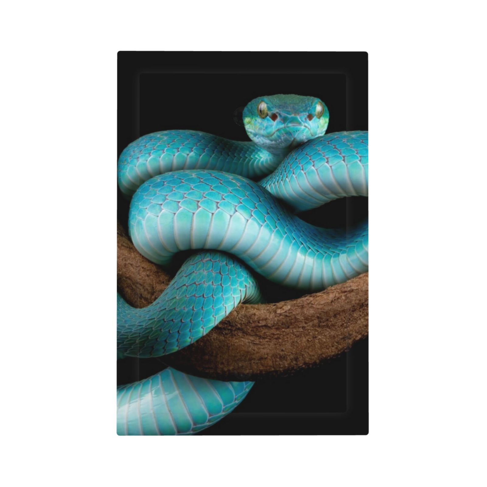 Junzan Blue Viper Snake for Electrical Outlet Covers, 5" x 3" Electric ...