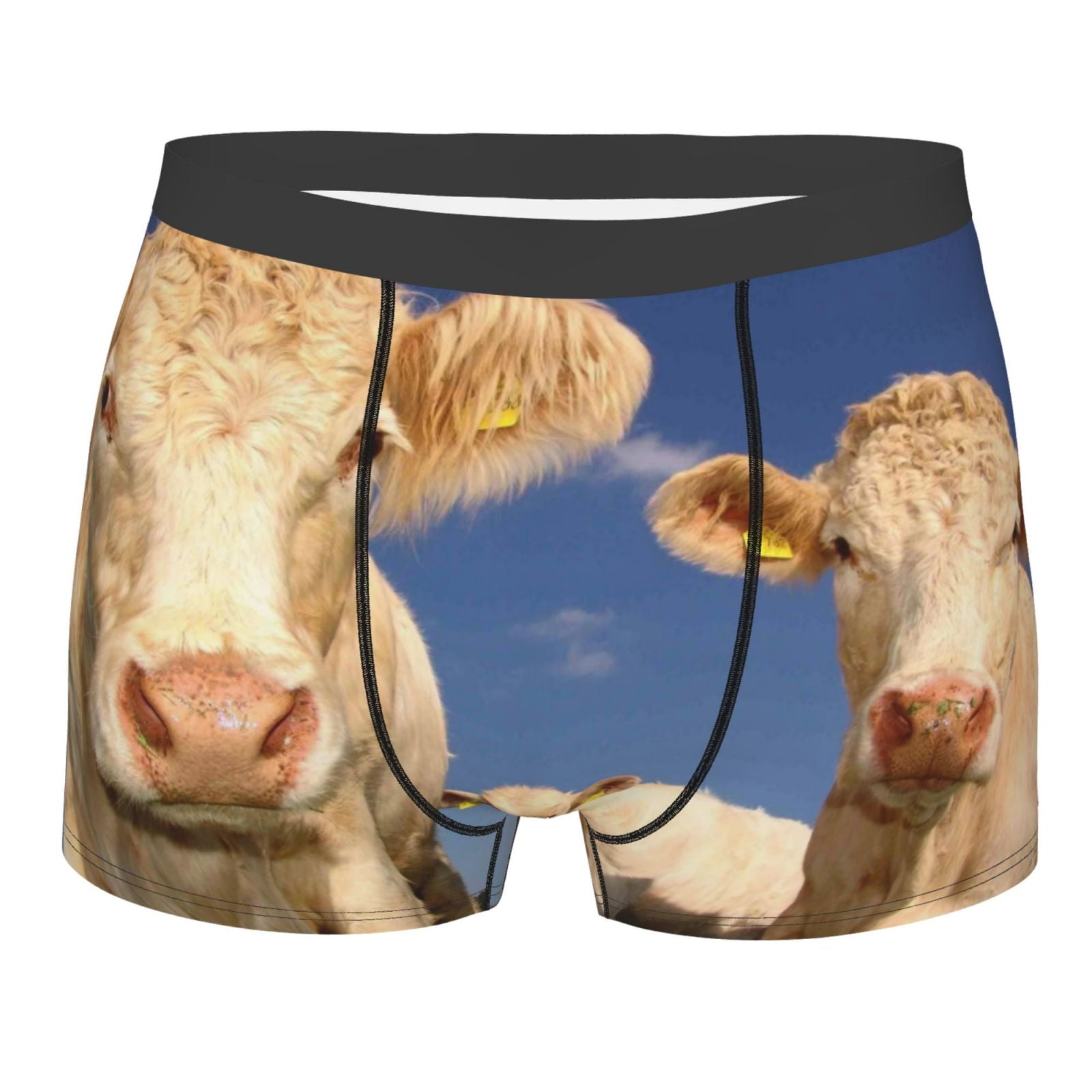 Junzan Cows Cattles Mens Underwear Boxer Briefs For Men’s - Large ...