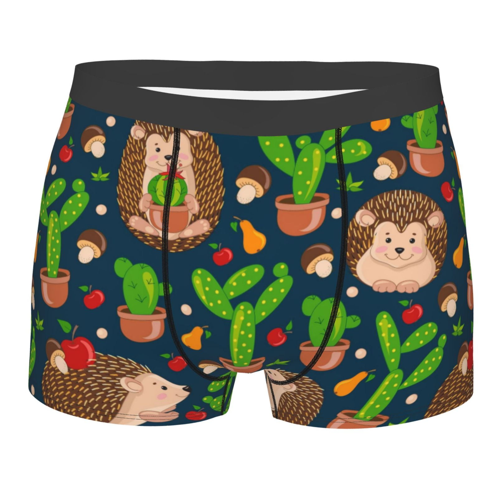 Junzan Cute Hedgehogs Cactus Blue Mens Underwear Boxer Briefs For Men’s ...