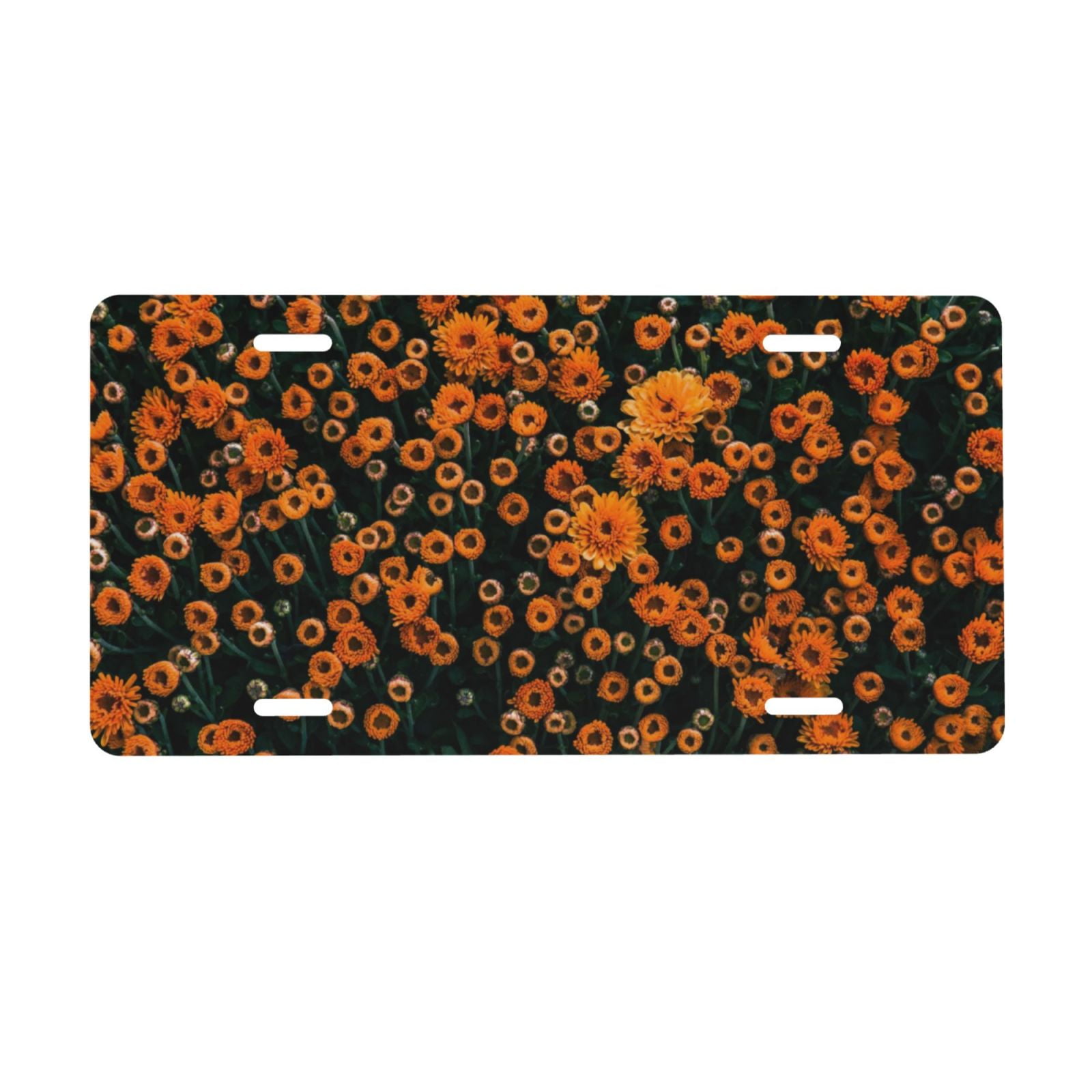 Junzan Daisies Front License Plate Covers Decorative Car Metal Plates ...