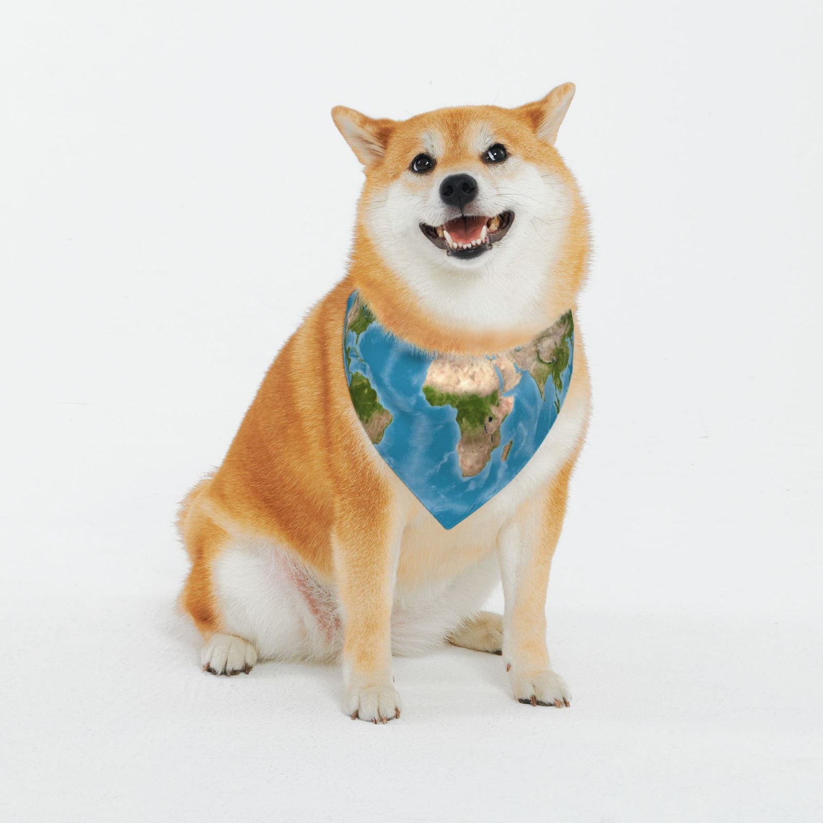Junzan Earth View World Map Pattern Dog Bandanas, Comfortable Cotton ...