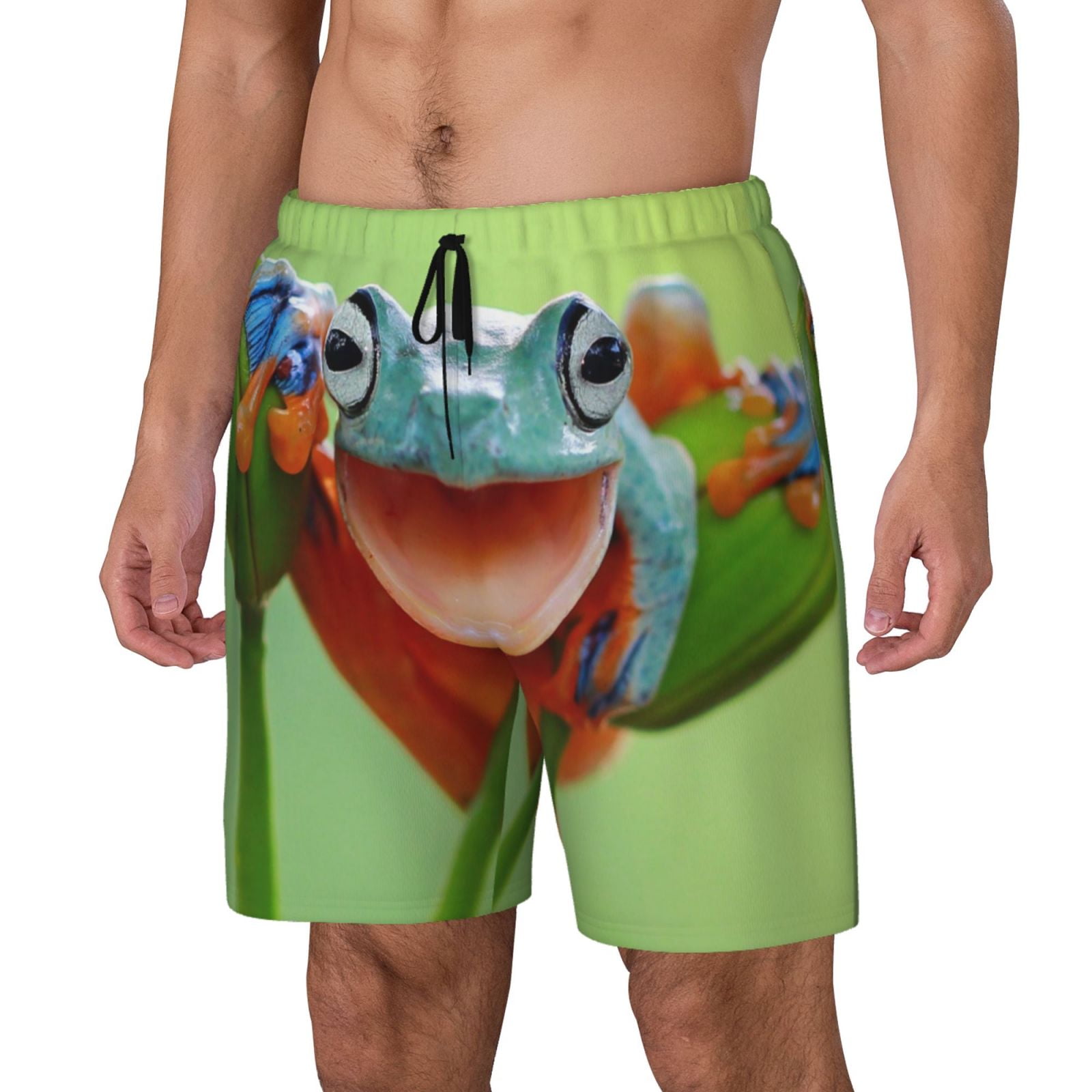 Junzan Flying Frog On Branch Print Swim Trunks Men Swim Shorts with ...
