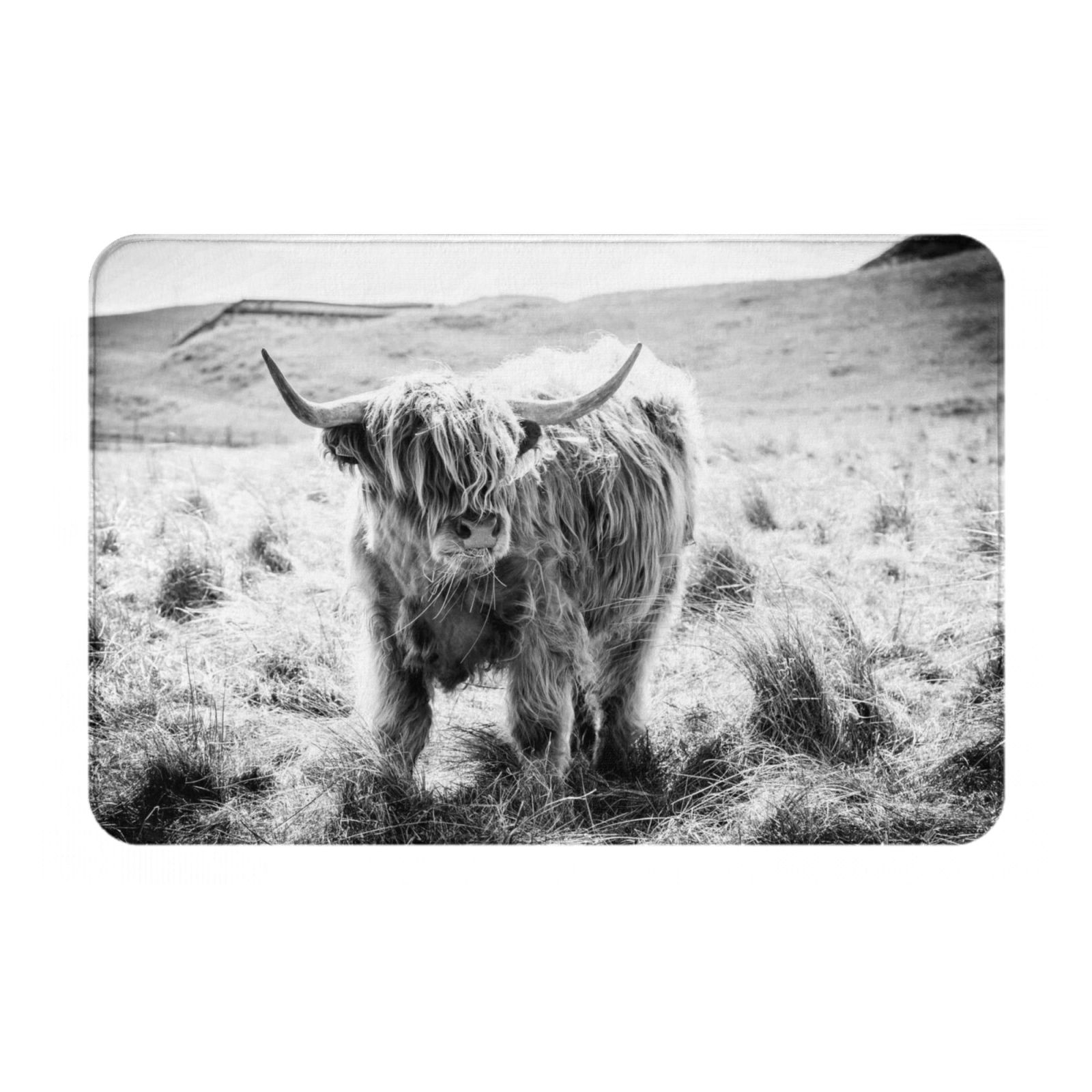 Junzan Highland Cattle Standing In The Sun Custom Funny Welcome Doormat ...