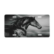 Running License Plates