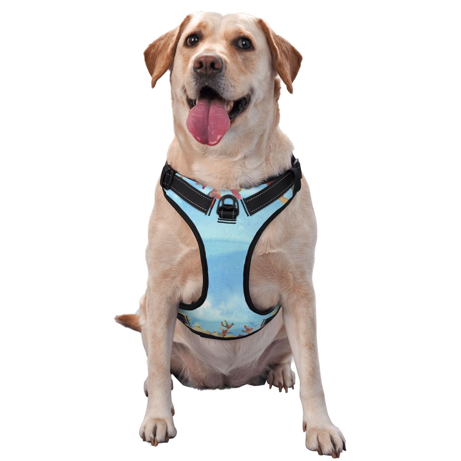 Junzan Sea And Fish Pattern Dog Harness - Lightweight,Soft,Adjustable ...