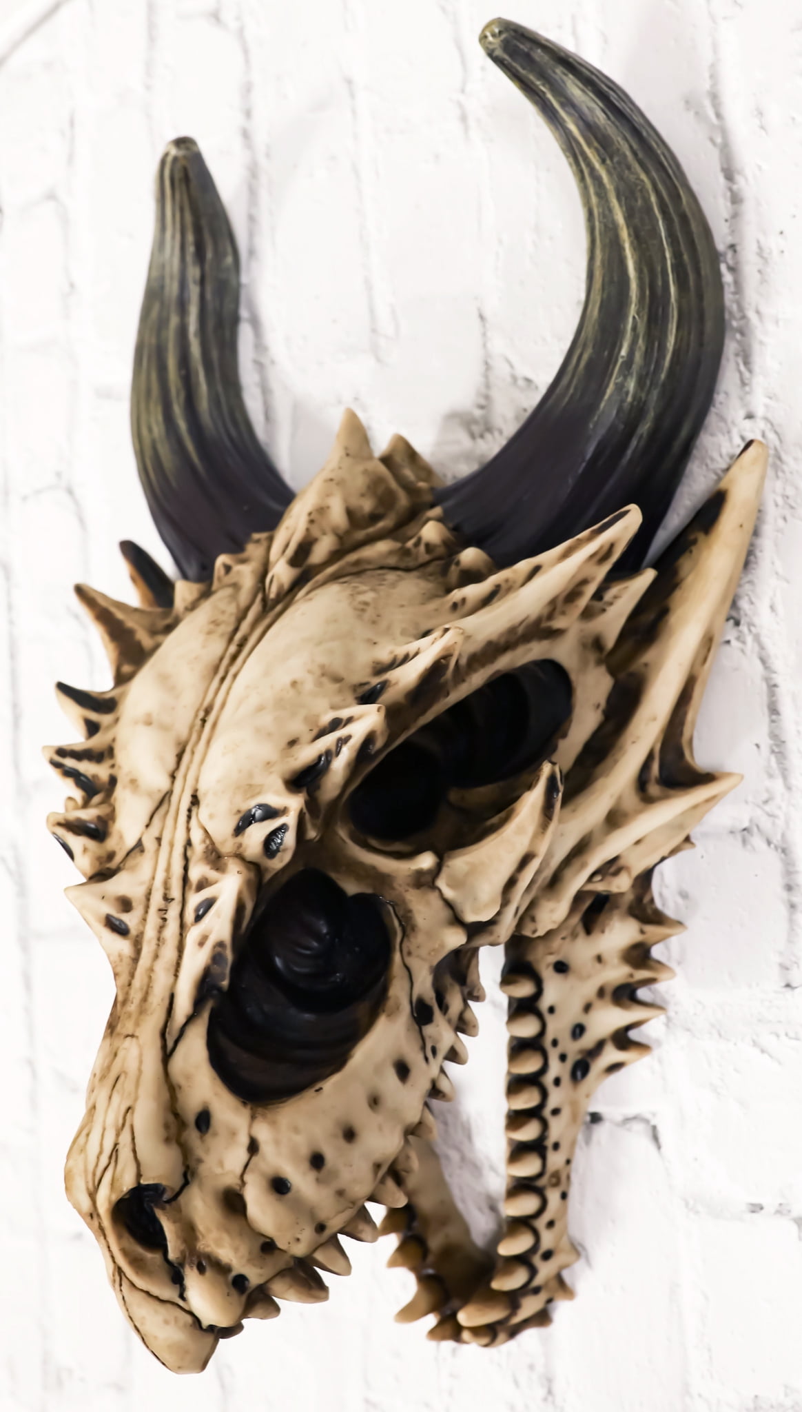 Jurassic Beowulf Gnarling Dragon Head Skull Realistic Fossil Wall Decor ...