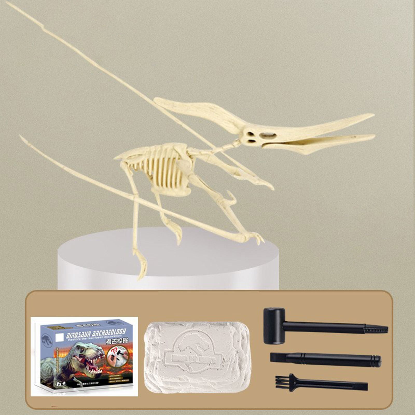 Jurassic Dinosaur Fossil Dig Kit for Young Paleontologists, A Hands-On STEM Discovery Toy with ...