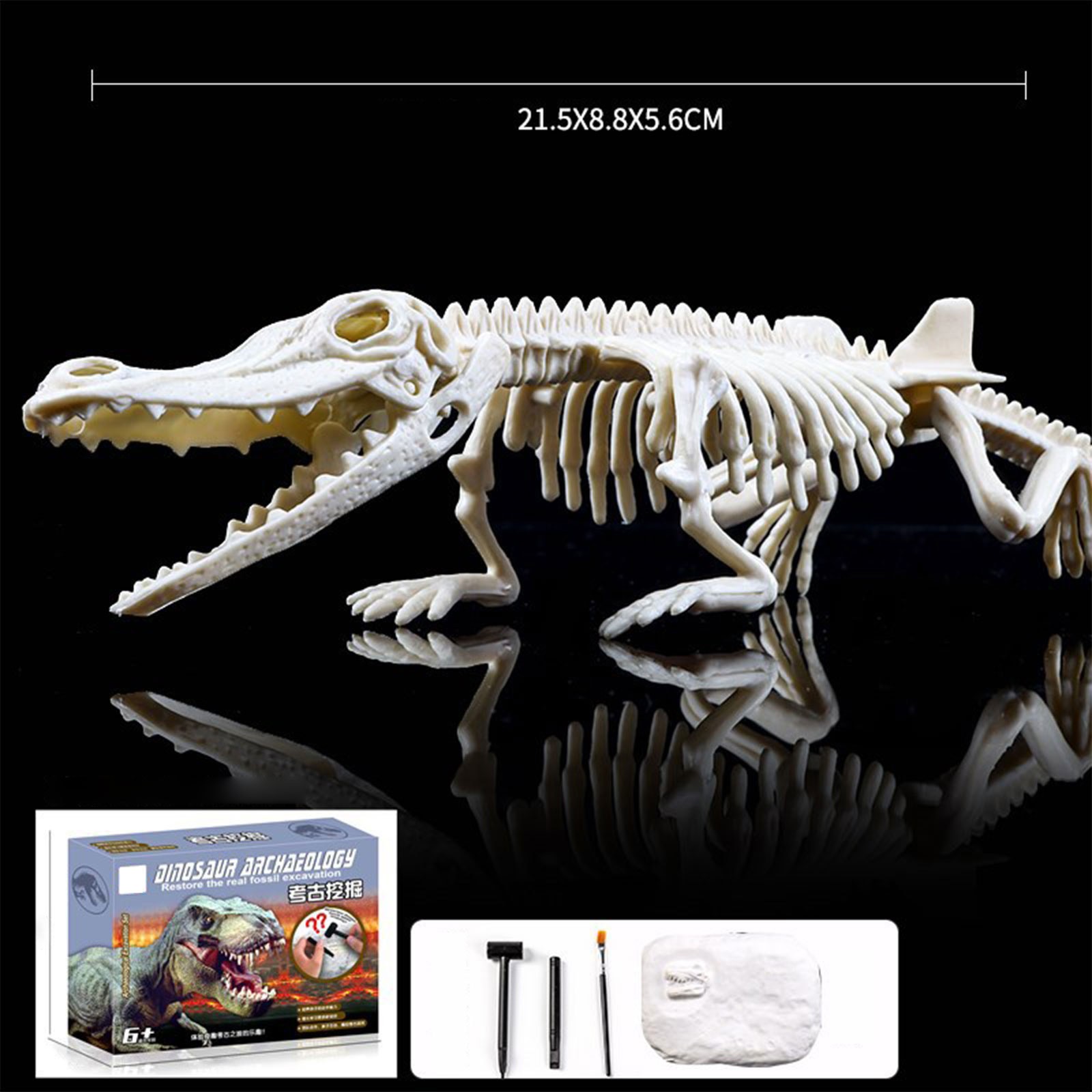 Jurassic Dinosaur Fossil Dig Kit for Young Paleontologists, A Hands-On ...