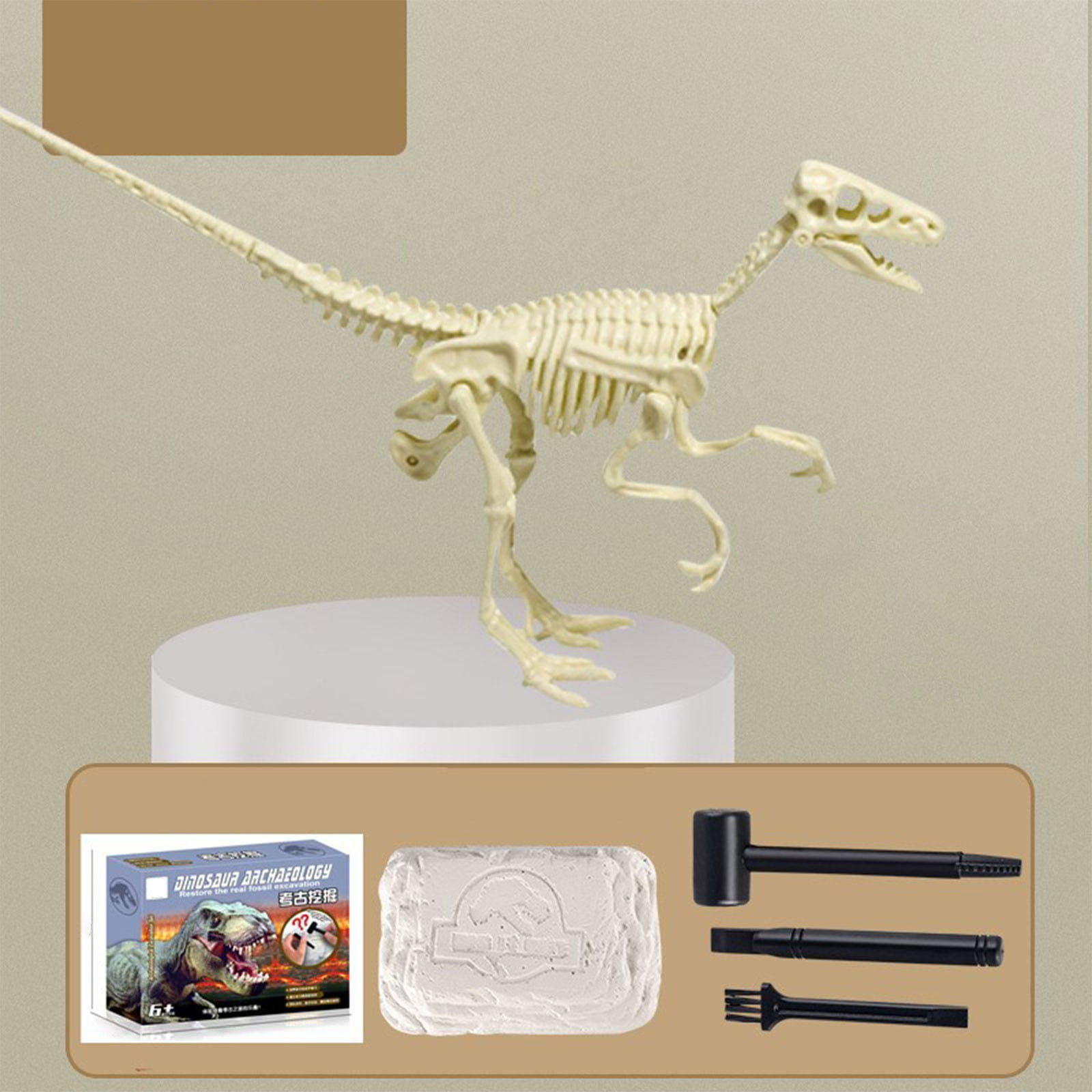 Jurassic Dinosaur Fossil Dig Kit for Young Paleontologists, A Hands-On ...