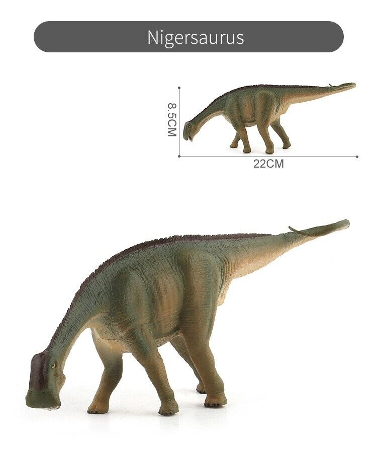 Jurassic Realistic Nigersaurus Dinosaur Figure Model For Kids Dino Toy ...