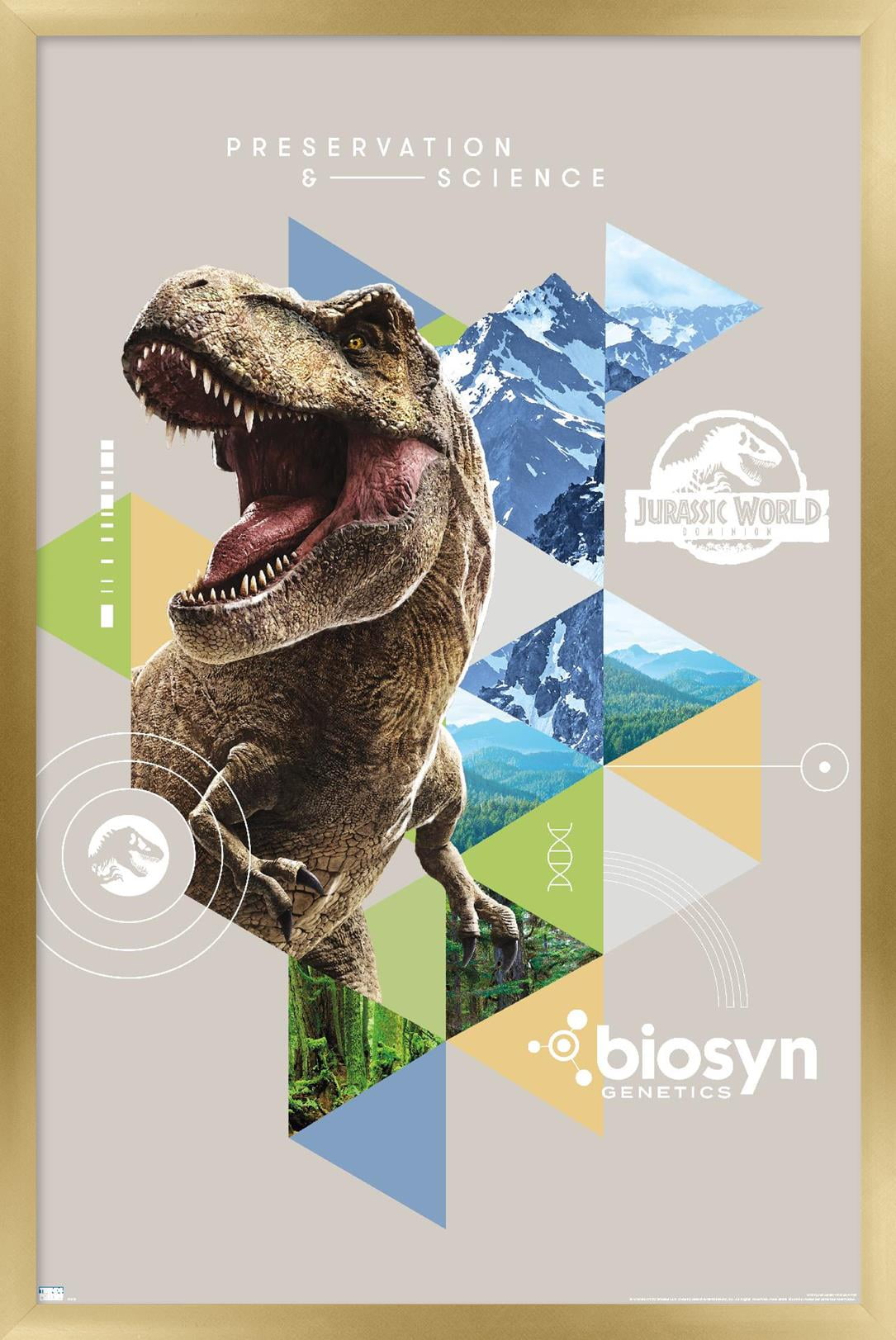 Jurassic World: Dominion - T-Rex Wall Poster, 22.375" x 34" Framed ...