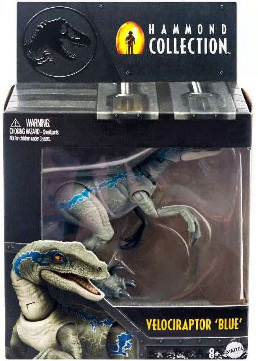 Jurassic World Hammond Collection Velociraptor 'Blue' Action Figure ...