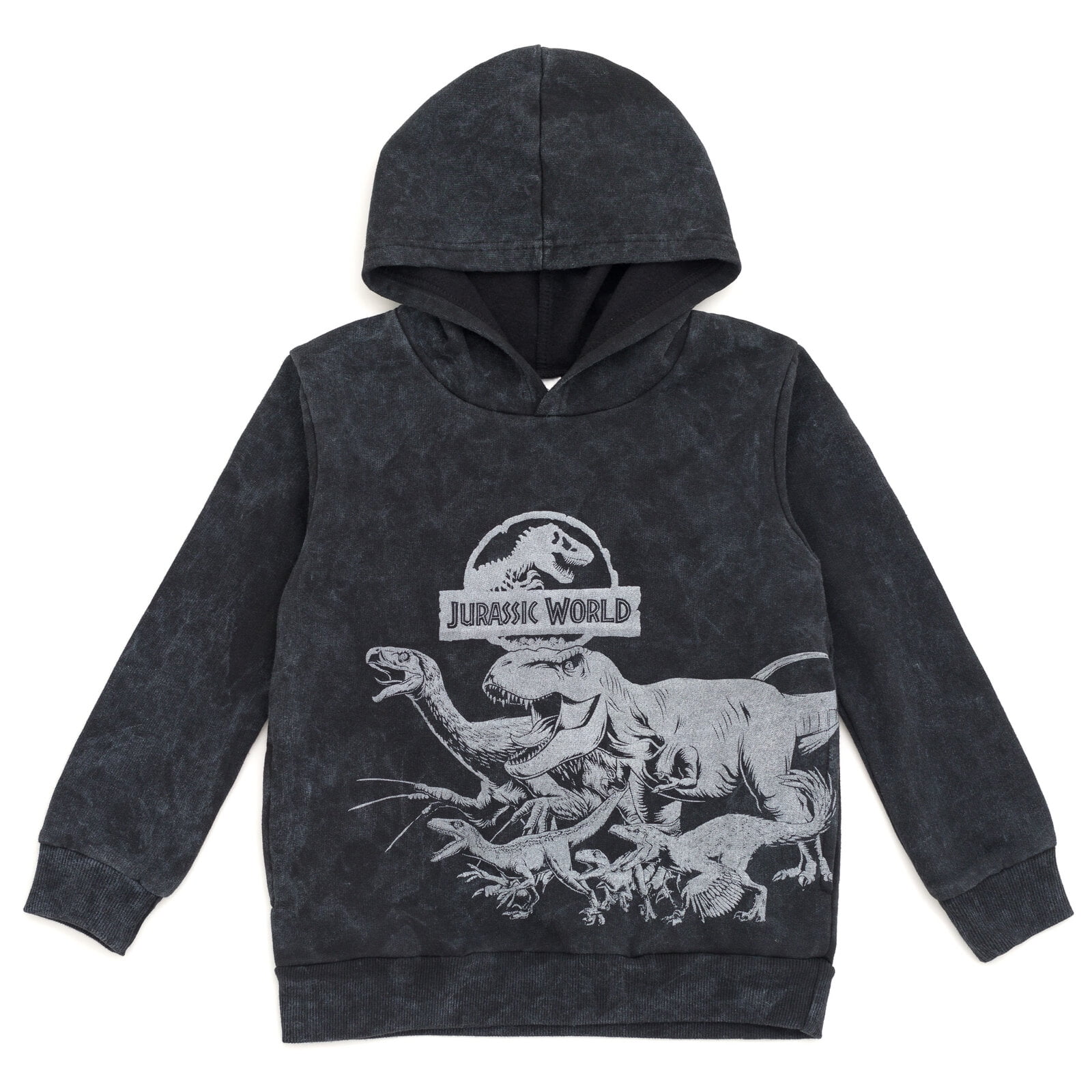 Jurassic World Jurassic Park Blue T-Rex Big Boys Fleece Pullover Hoodie ...