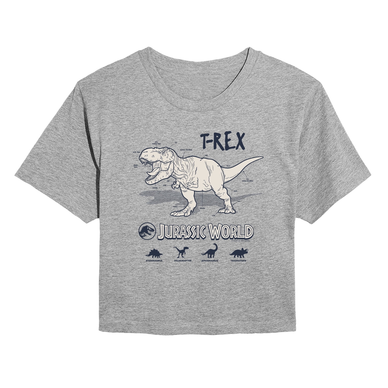 Jurassic World - Rex Info - Juniors Cropped Graphic T-Shirt - Walmart.com