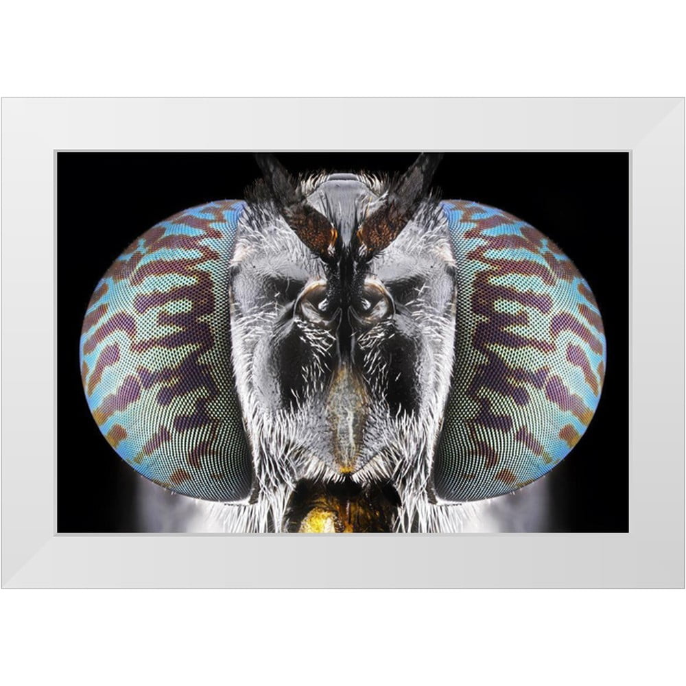 Jusa, Donald 24x17 White Modern Wood Framed Museum Art Print Titled ...