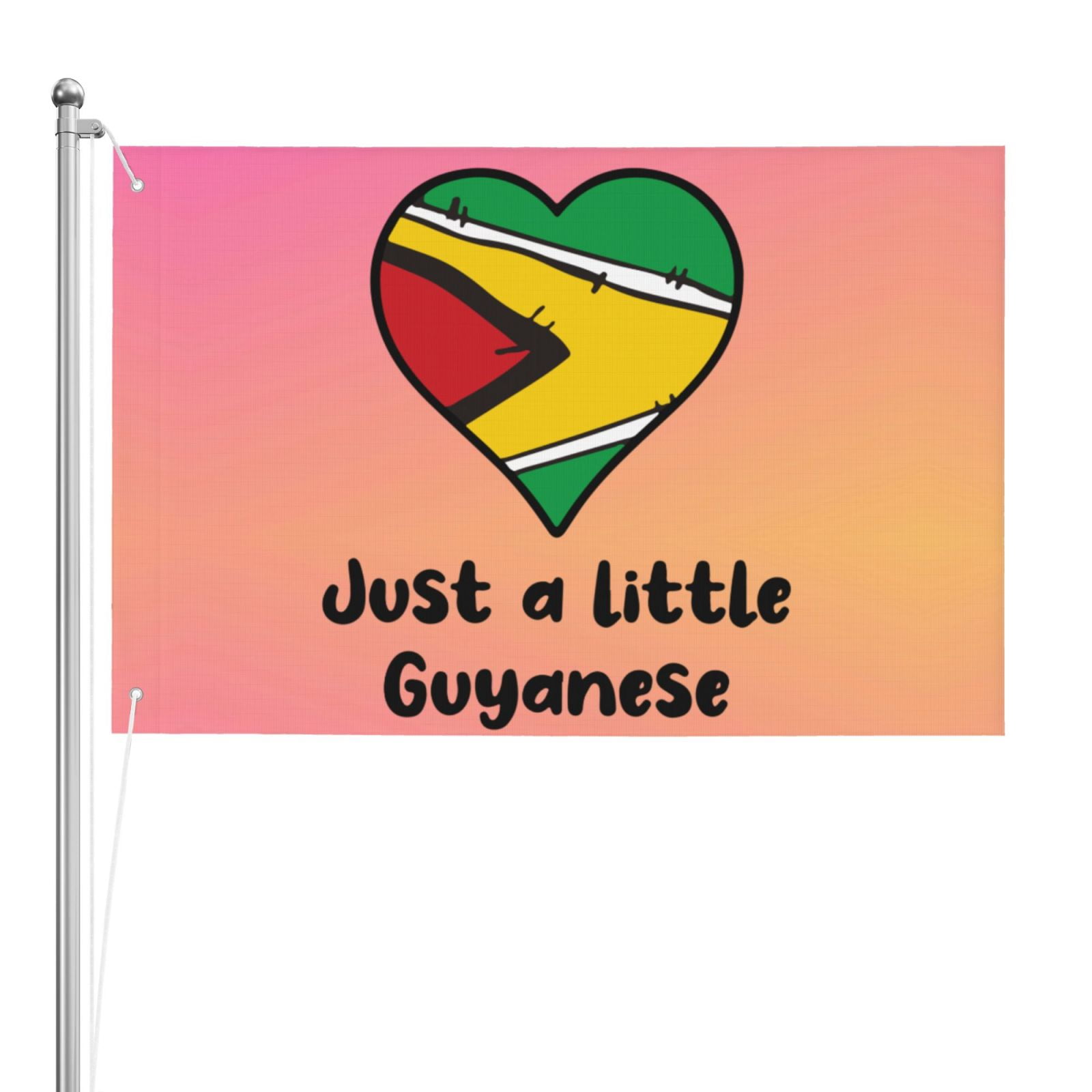 Just A Little Guyanese Guyana Flag Flag Double Sided Flag 2x3ft For ...