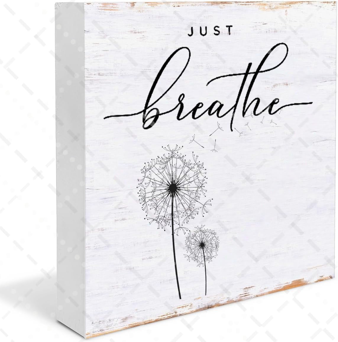 Just Breathe Dandelion Wooden Box Sign Table Decor Rustic Farmhouse ...