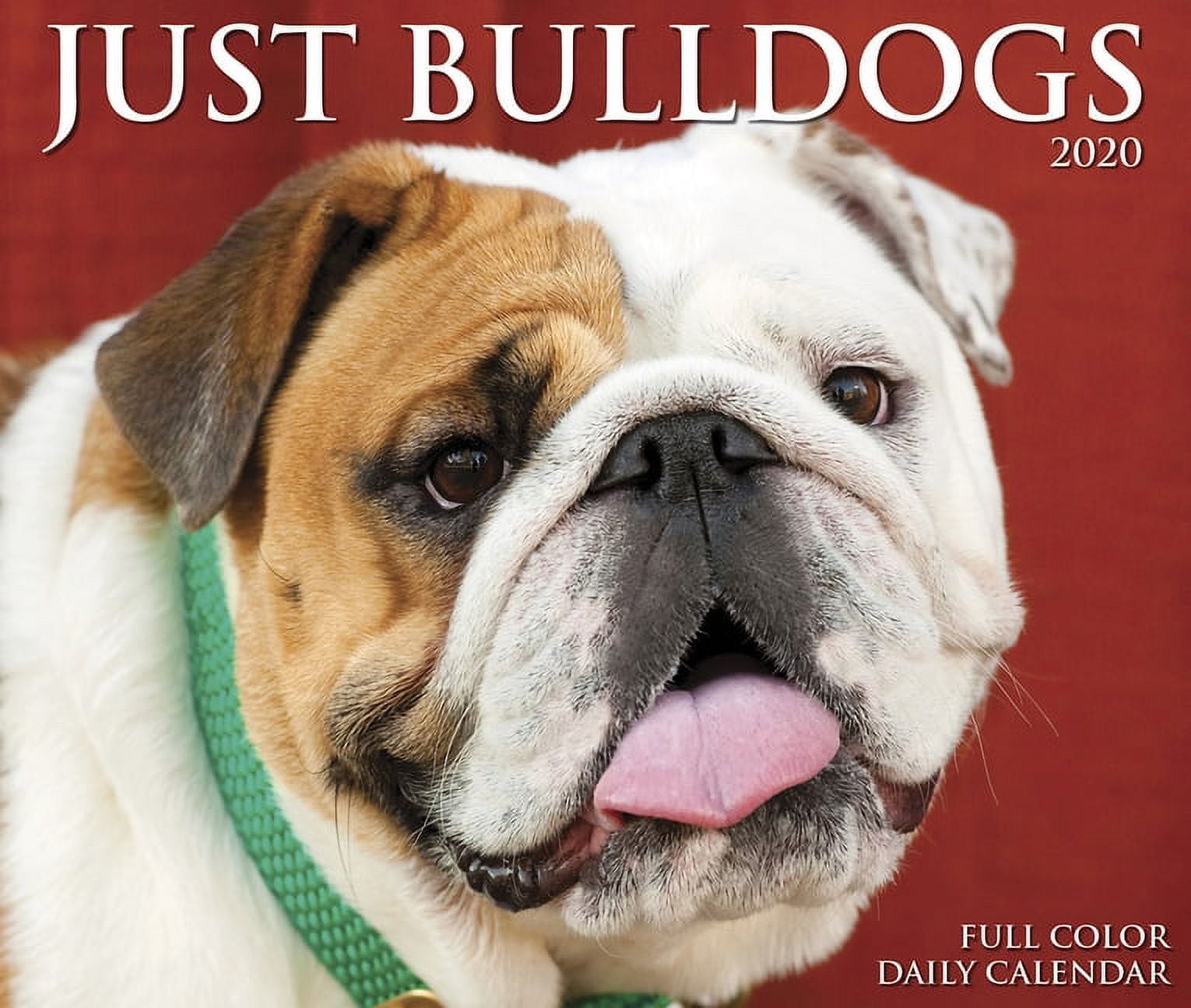 Just Bulldogs 2020 Box Calendar (Dog Breed Calendar) (Other) - Walmart.com