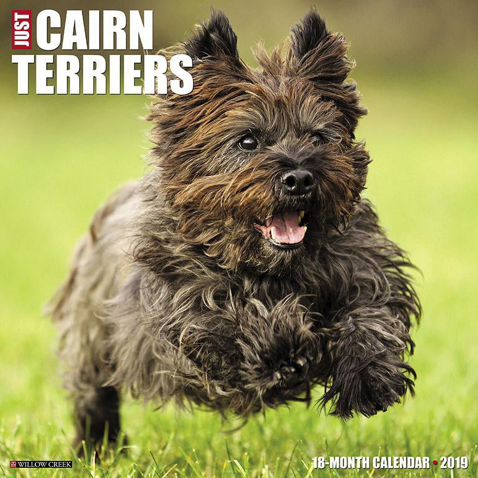 Toto Wizard Of Oz Breed Of Dog