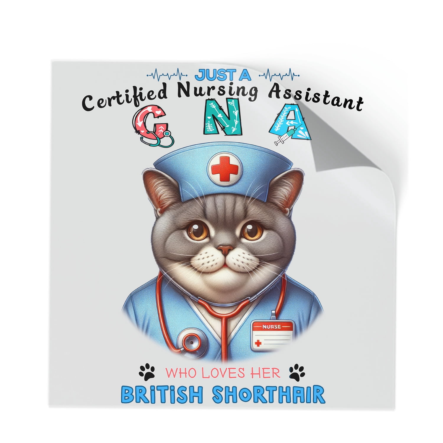 Just a Certified Nursing Assistant Cna Who Loves Her British Shorthair ...