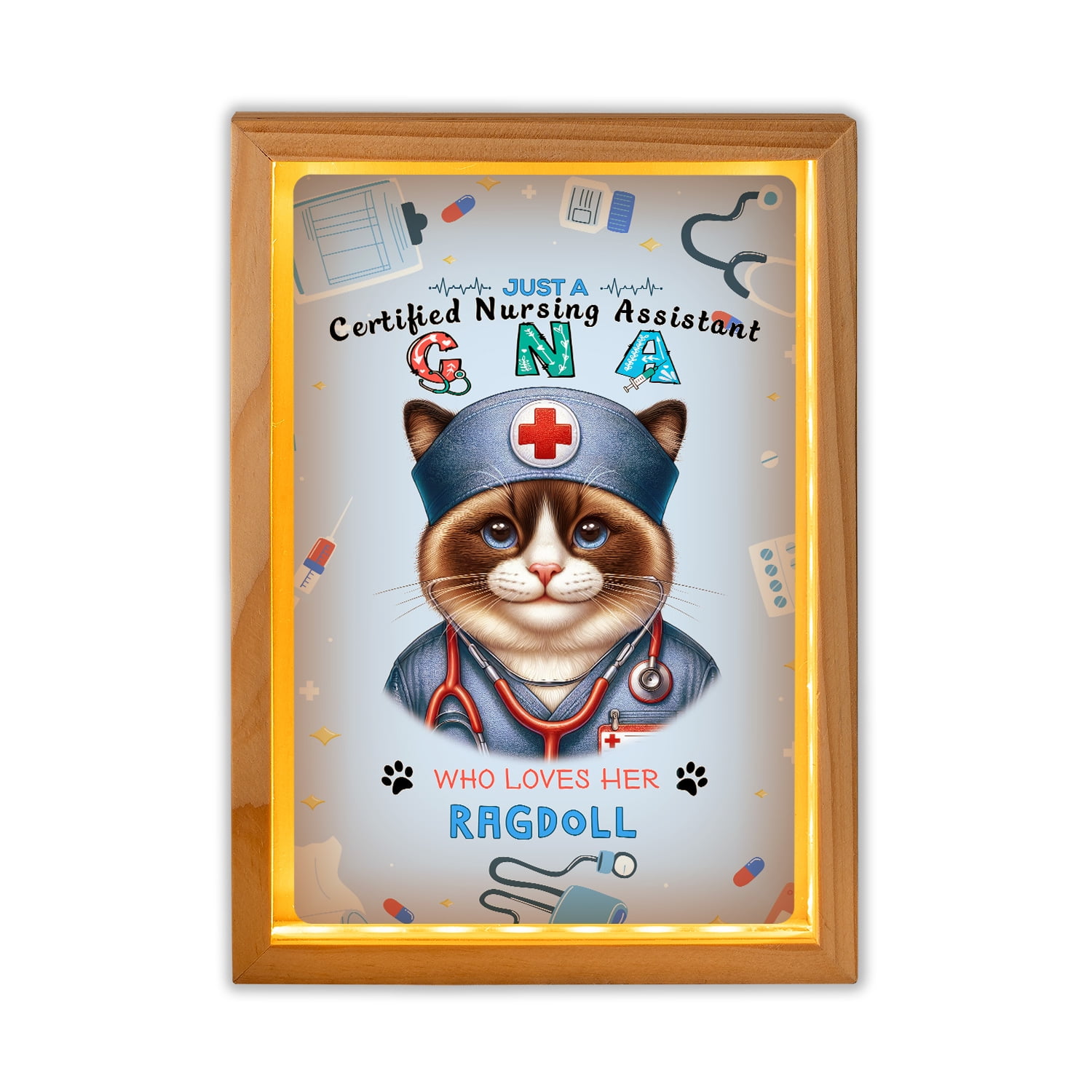 Just a Certified Nursing Assistant Cna Who Loves Her Ragdoll Acrylic ...
