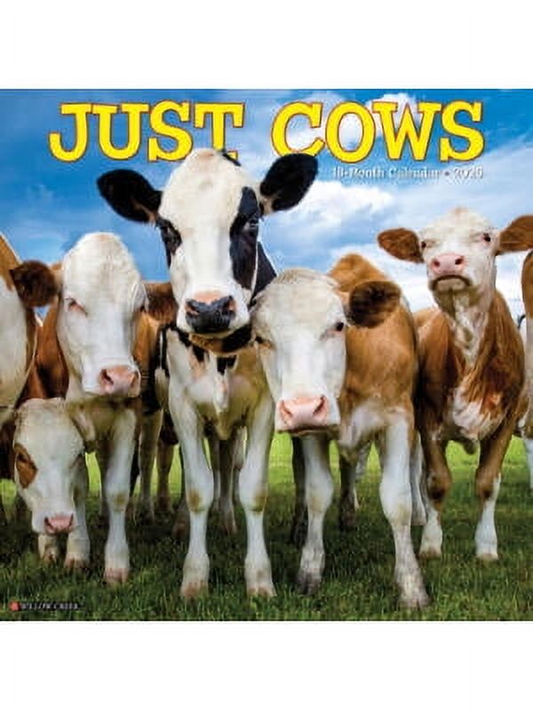 Just Cows 2025 12 X 12 Wall Calendar - Walmart.com