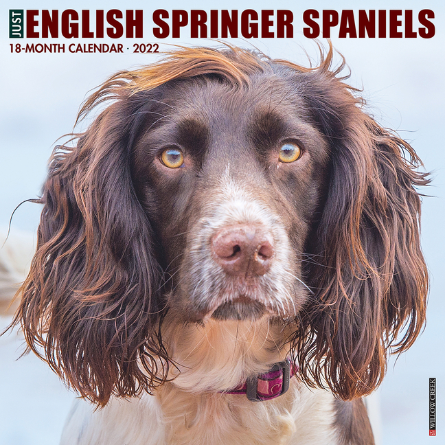 Just English Springer Spaniels 2022 Wall Calendar (Dog Breed) (Other ...