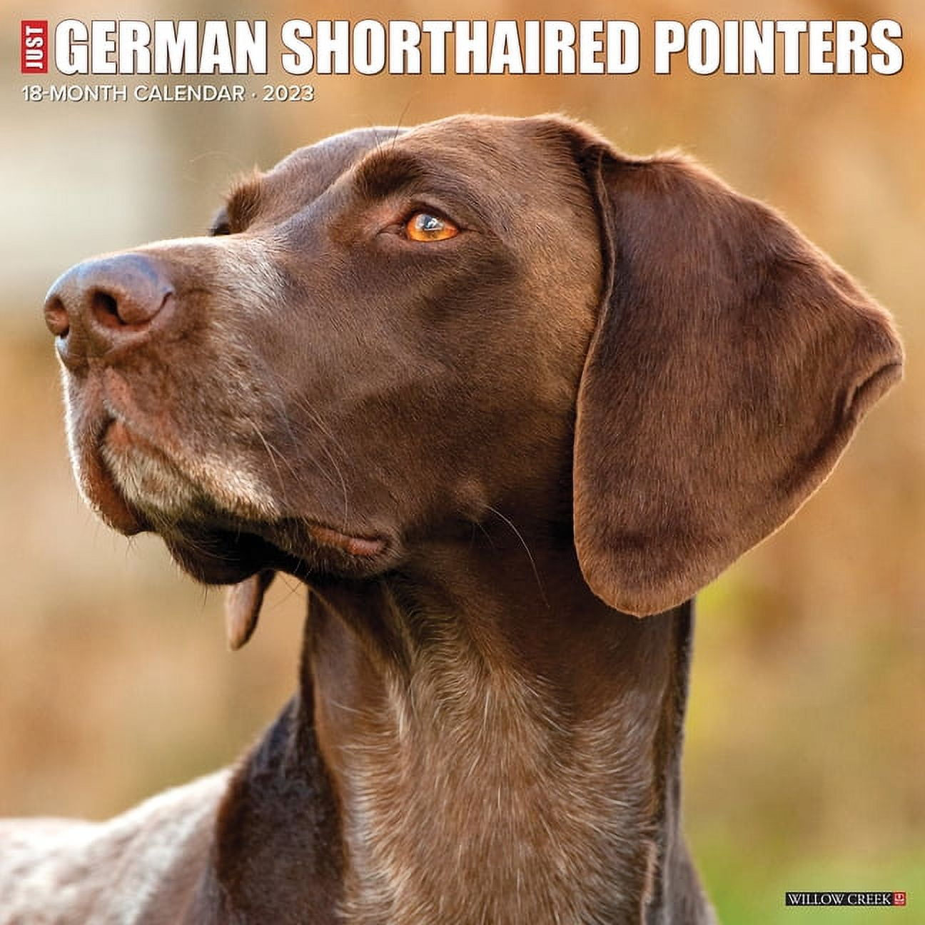 Just German Shorthaired Pointers 2023 Wall Calendar (Other) - Walmart.com