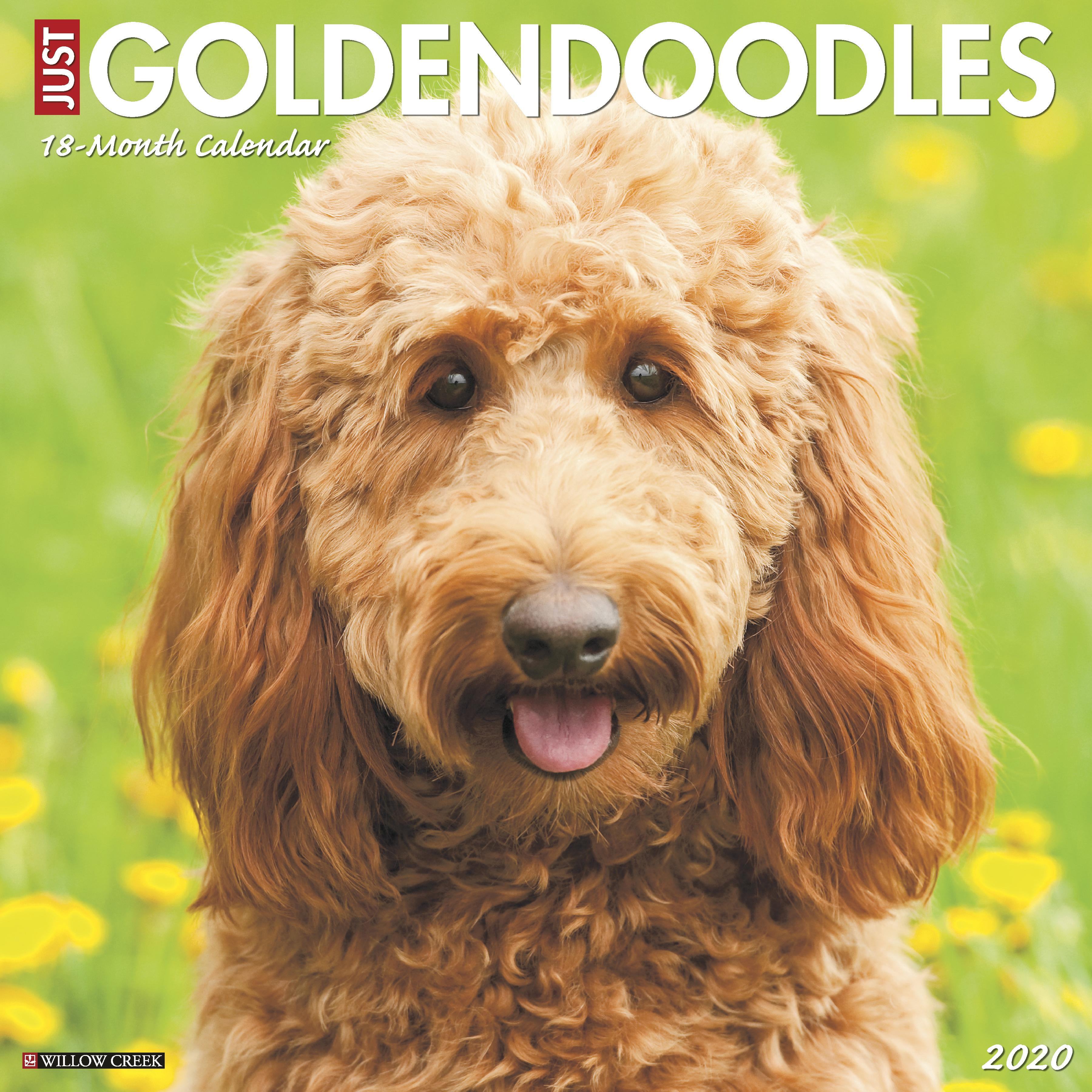 Just Goldendoodles 2020 Wall Calendar (Dog Breed Calendar) (Other ...