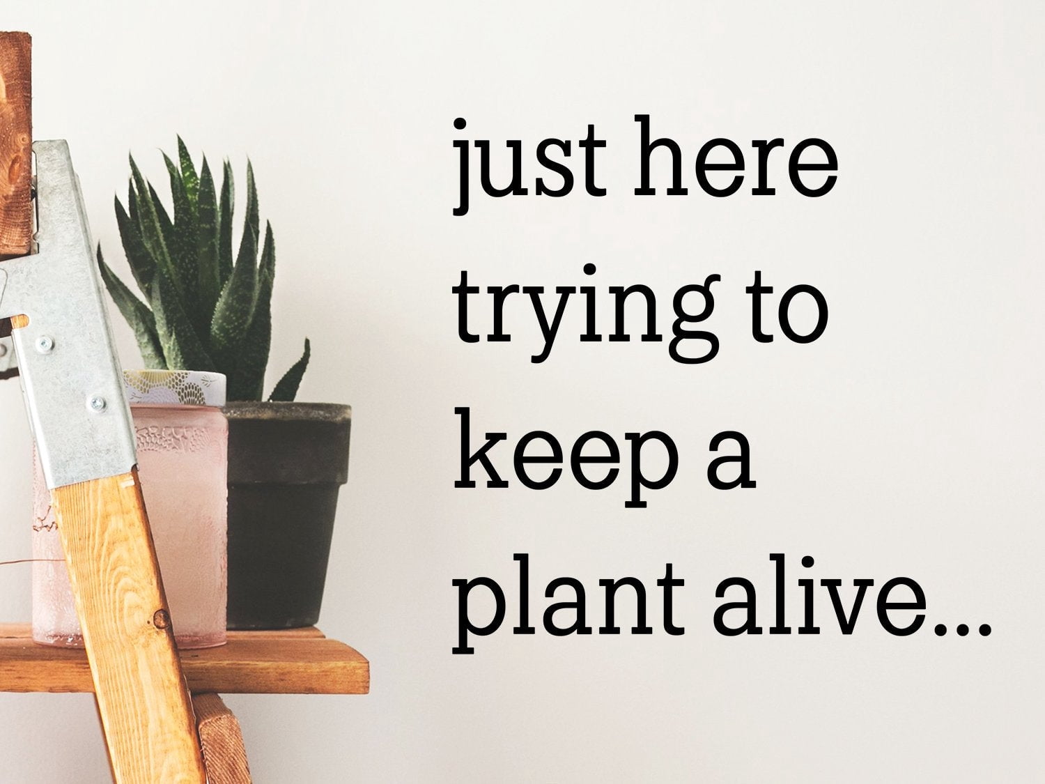 Just Here Trying to Keep A Plant Alive | Living Room Wall Decal ...