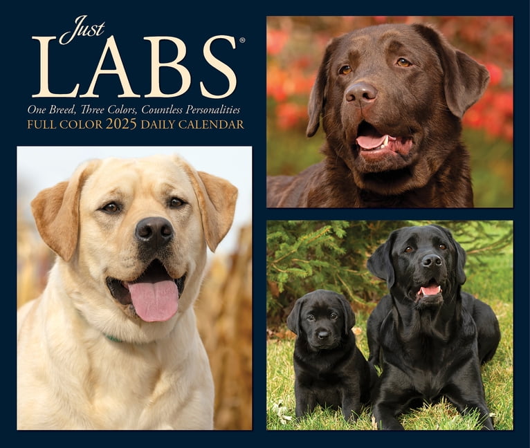 Just Labs 2025 Box Calendar - Walmart.com