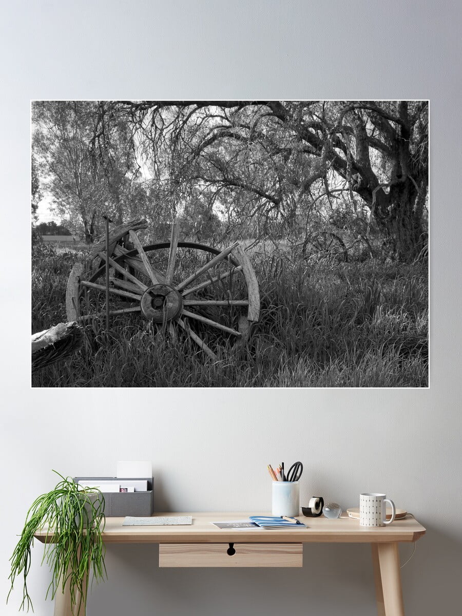 Just Lying Around... Poster Wall Art, Modern Wall Decor For Living Room Bedroom, 12x18 UNFRAMED ...