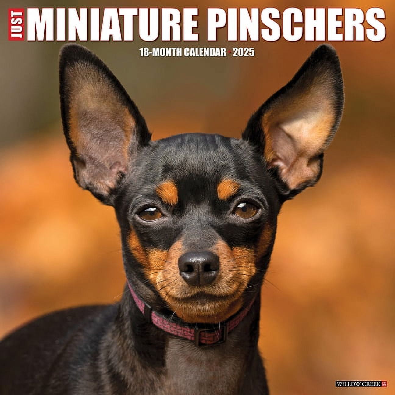 Miniature Pinschers