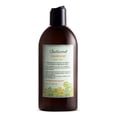 Just Nutritive Gray Hair Conditioner, Moisturizes, Frizz Control, Shine ...