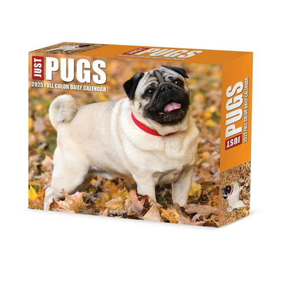 Just Pugs 2026 5.4 X 6.2 Box Calendar, (Hardcover) - Walmart.com