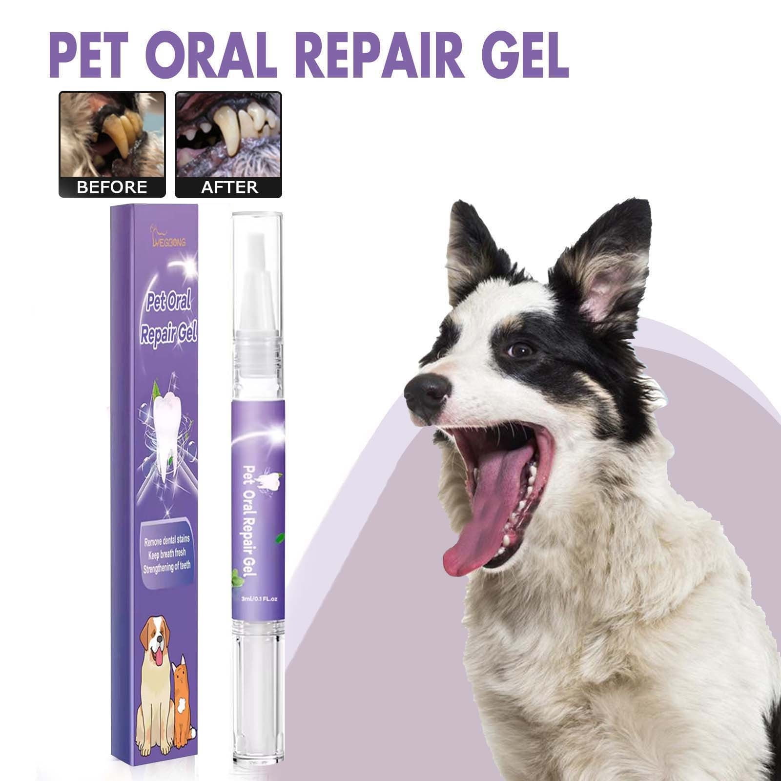 Just Released, Pet Oral Gel for Dog Teeth Stain and Bad Breath ...