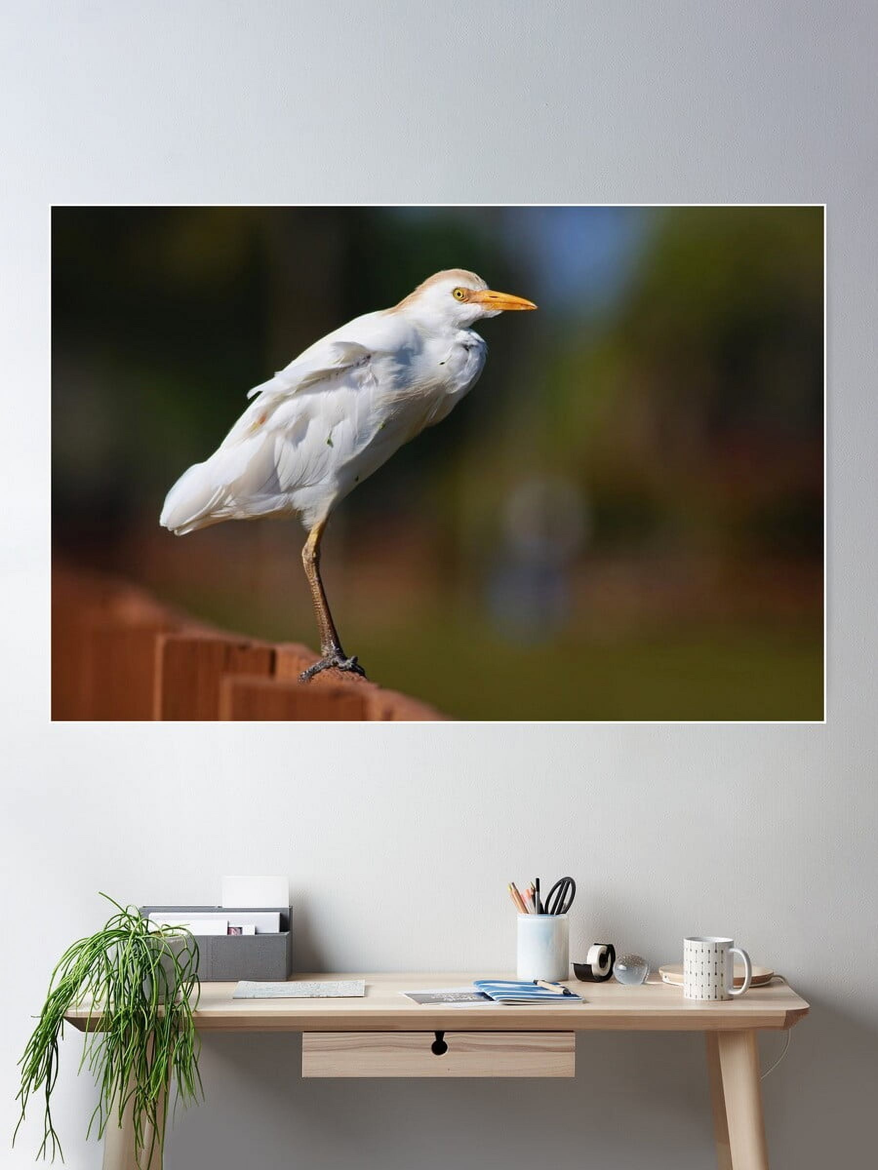 Just Too Moody Poster Wall Art, Modern Wall Decor For Living Room ...